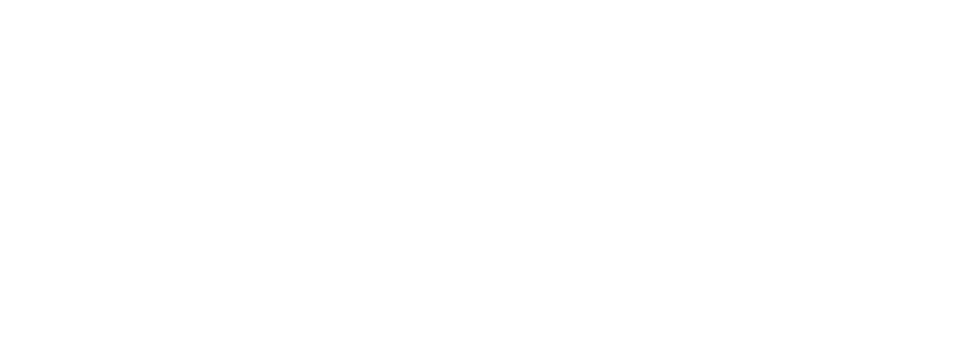 Home - Maverick Security